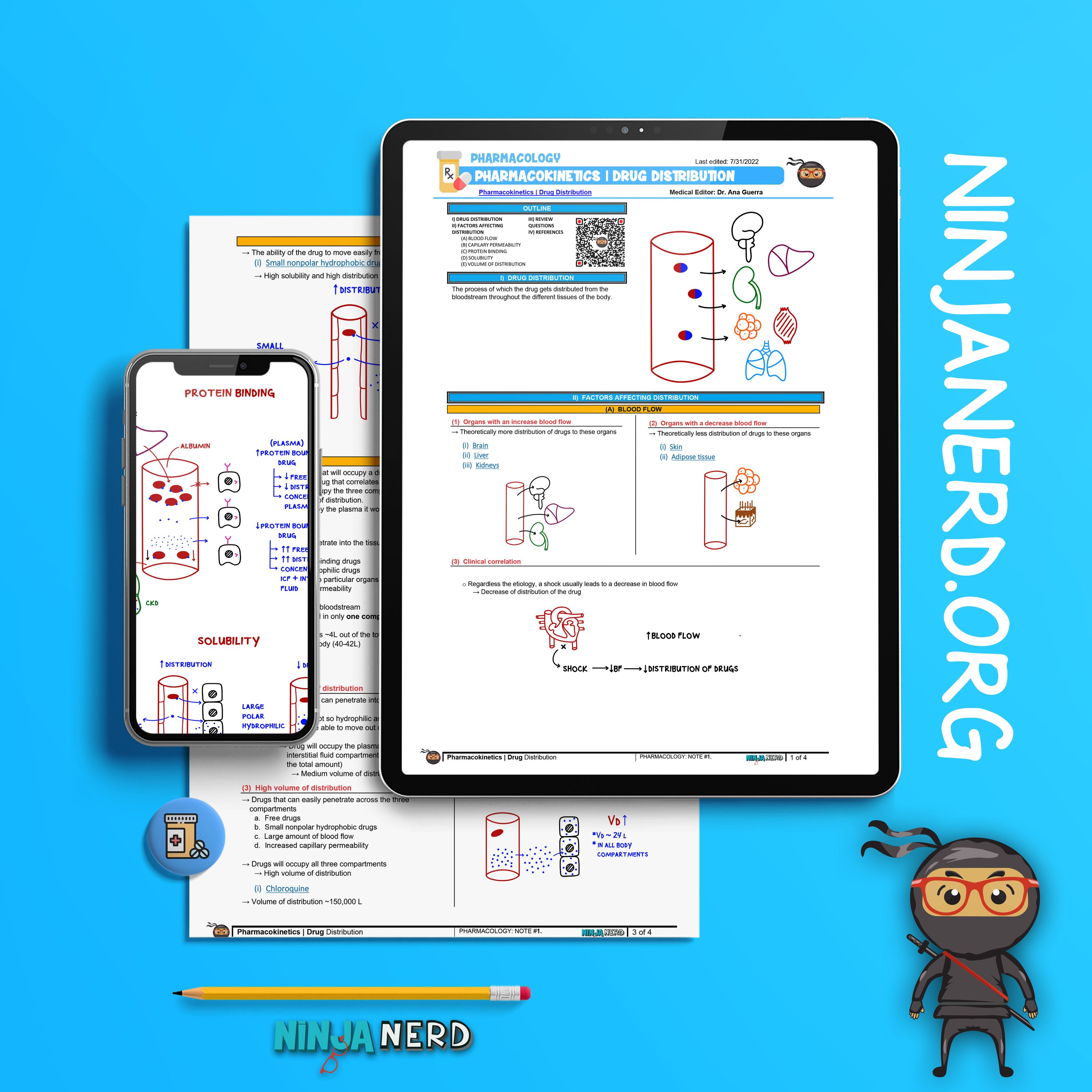 Pharmacokinetics | Drug Distribution - Illustrations - NinjaNerd Medicine